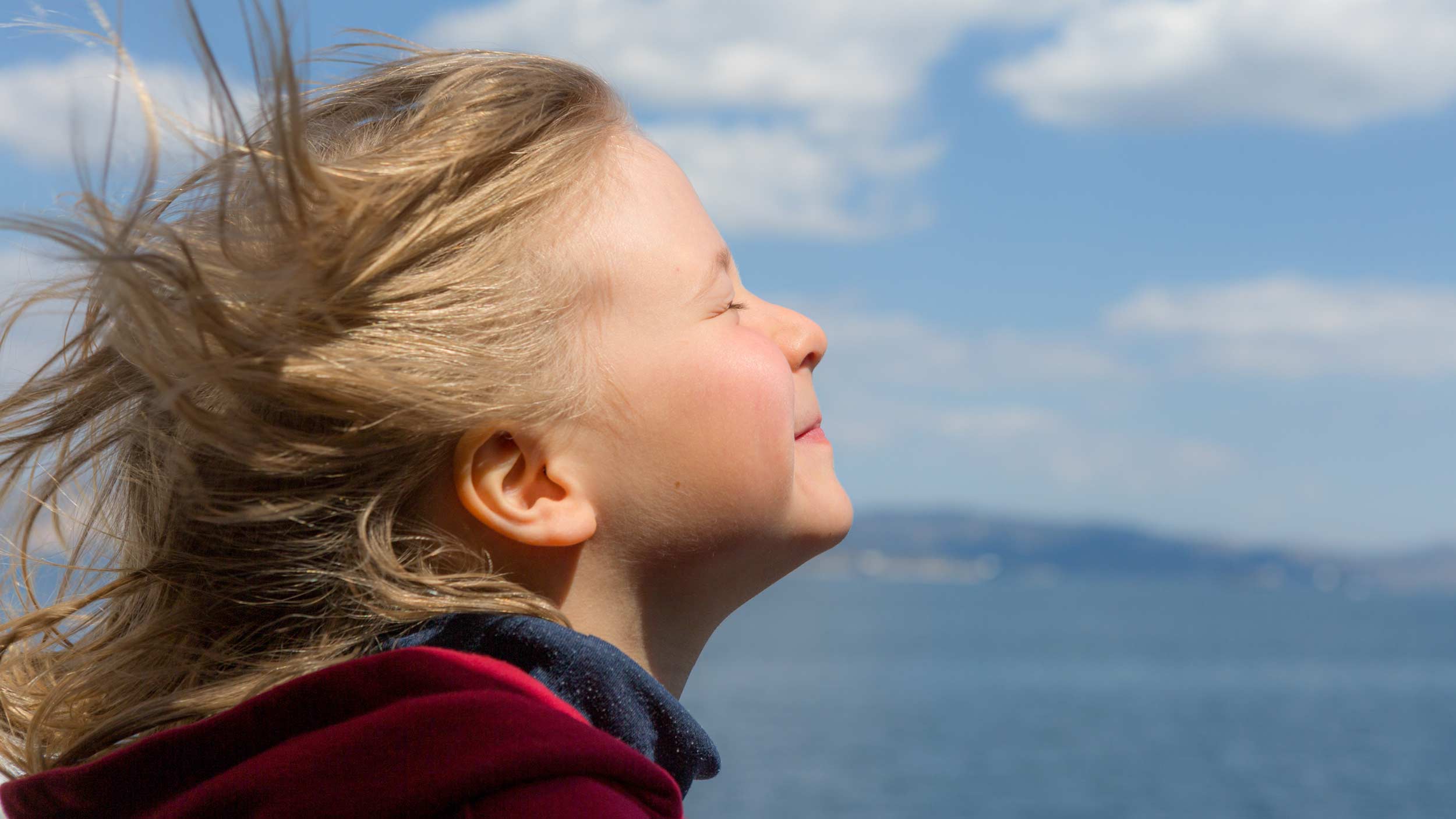 Green energy FAQ - TMV Green