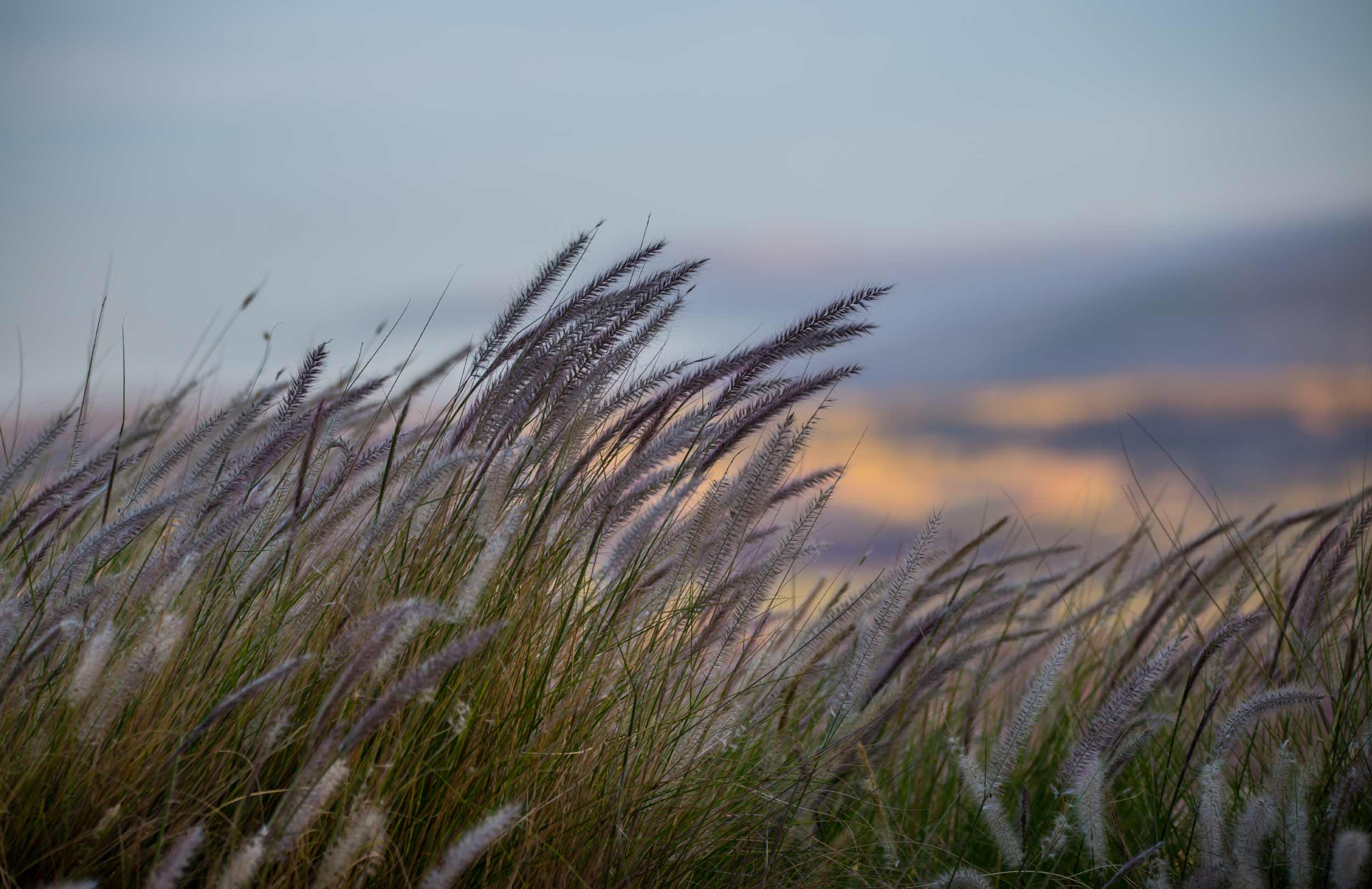 Contact us - TMV Green